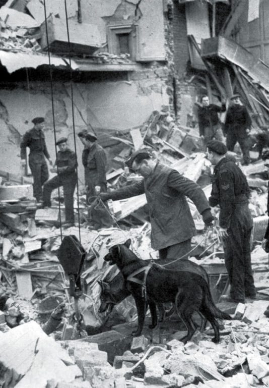 'Military Dogs of World War II' - by Martin Cherrett