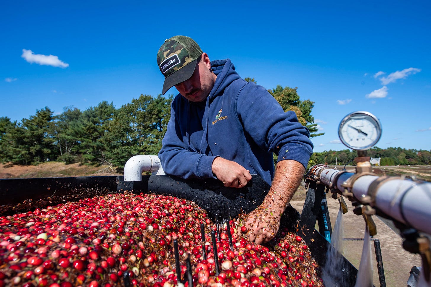 Port of Seattle EMPTY - ZERO Inbound Ocean Container Ships