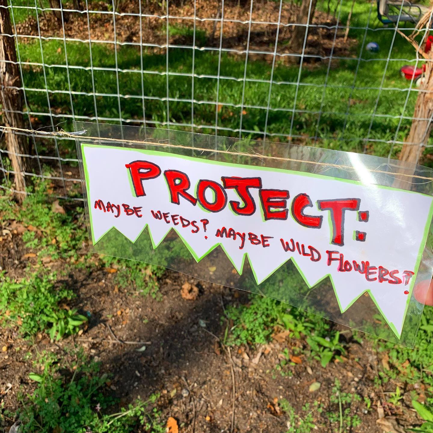 More ideas from the garden - Austin Kleon