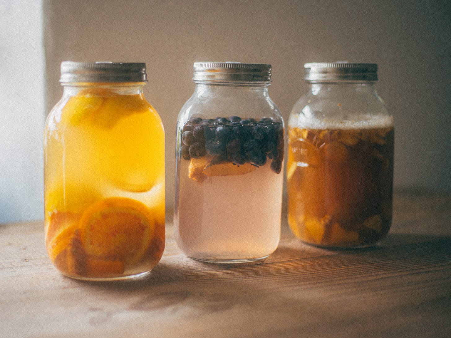 Wild Fermented Soda | MASTERCLASS (free) - by Sam Cooper