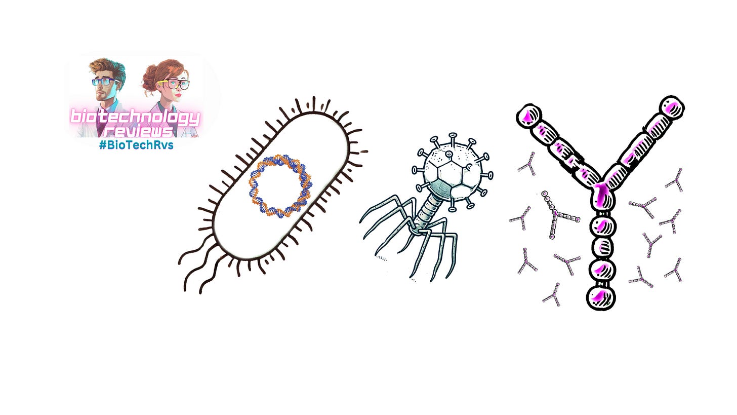 Phage Display, Principles, Applications, Future Evolution