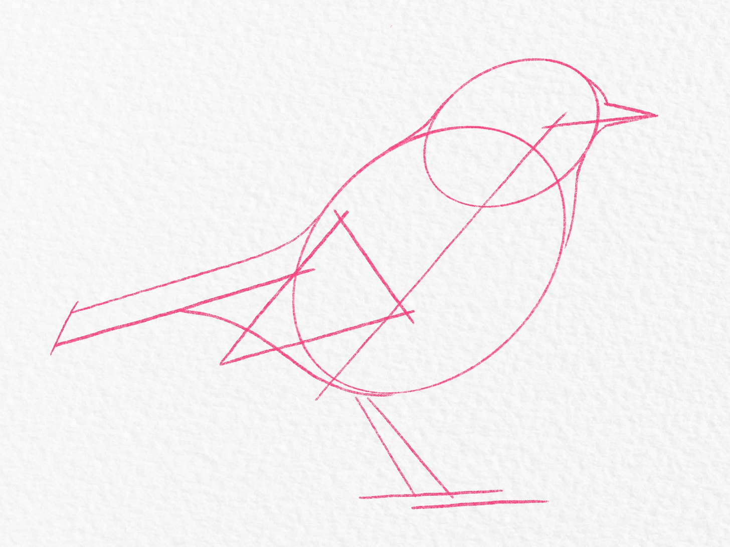 A picture of a bird cannot fly