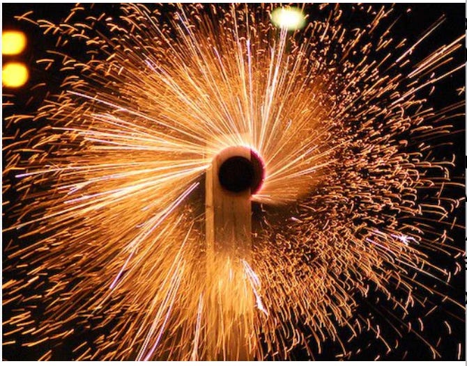 100 Million Fire Ants On The March, by Elizabeth Nickson | STRAIGHT ...