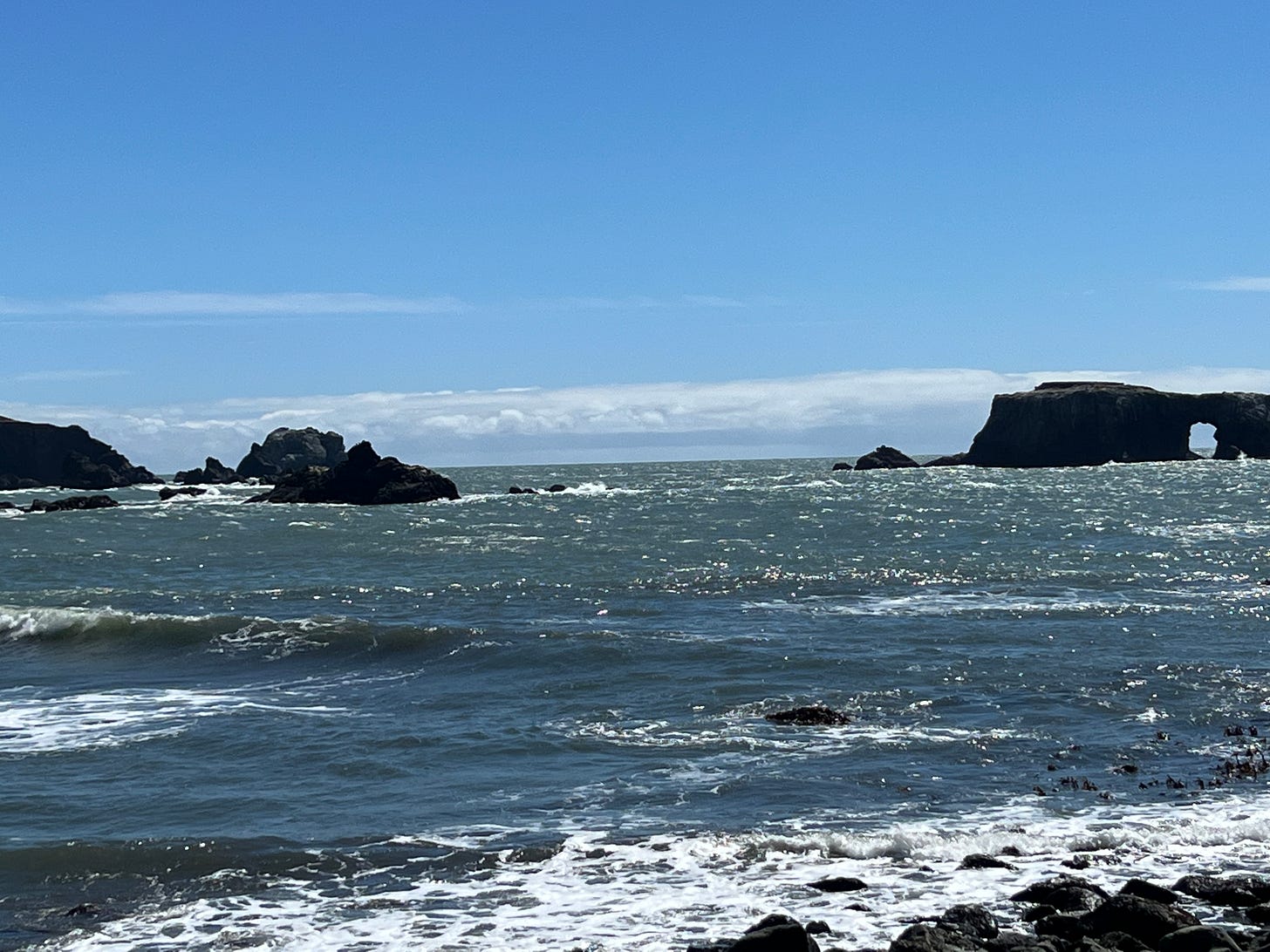 The Last Time - by Deborah Demander - Transform Your Life