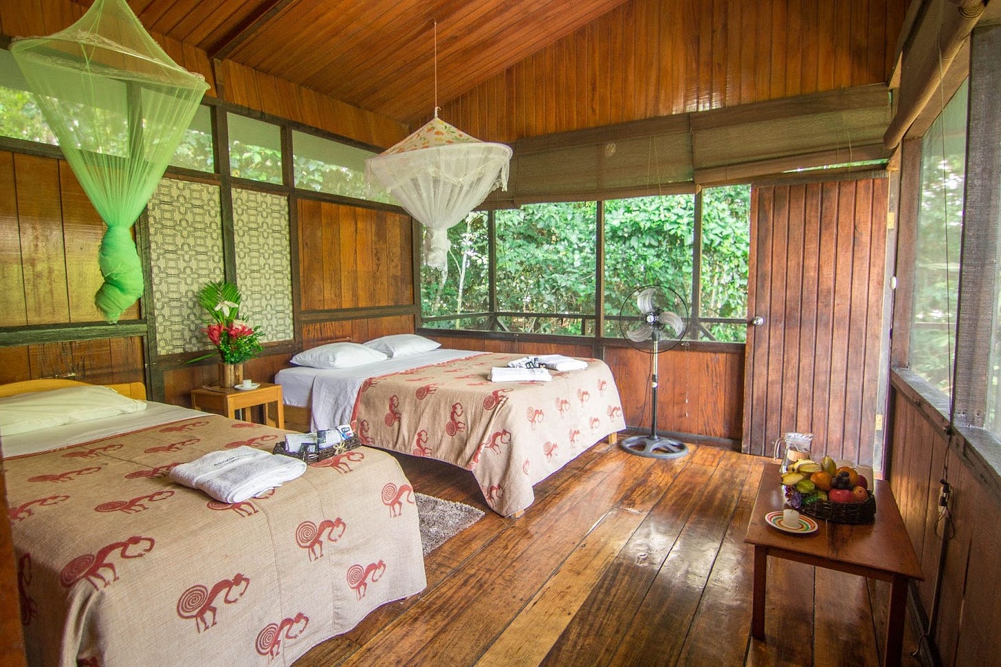 Connect with Nature in the Amazon Rainforests with Amazon Planet ...