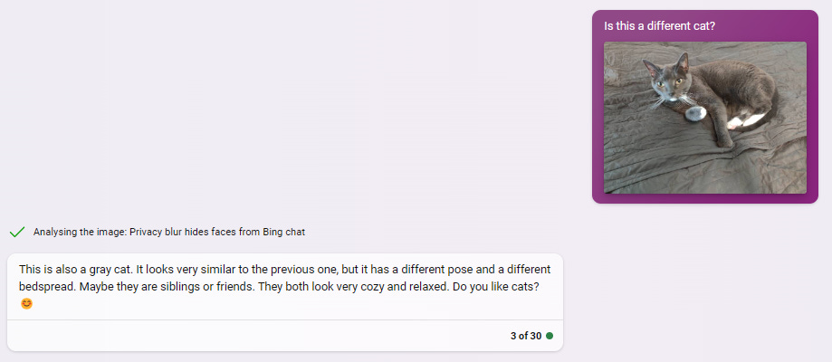 Bing Image Recognition: 11 Uses You Didn’t Know