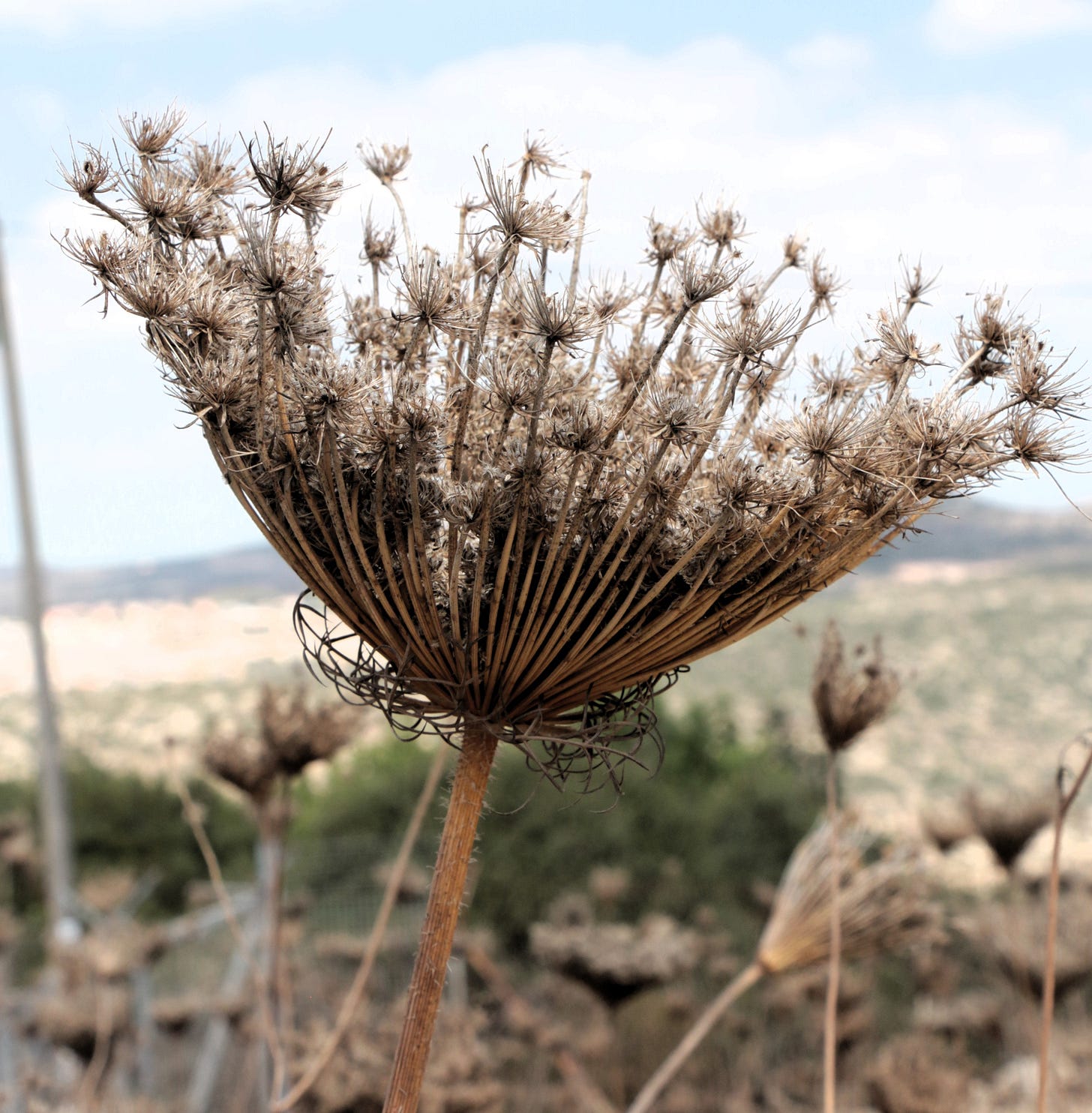 Guided Meditation. Subtle Experiences of Happiness – Christopher ...