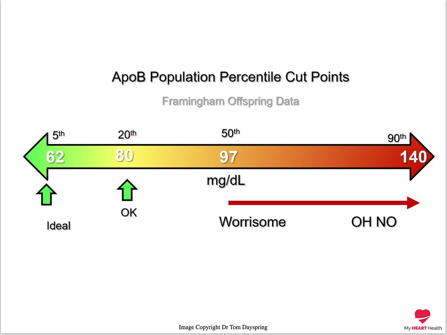 Why You Need To Measure apoB To Assess Your Cardiovascular Risk