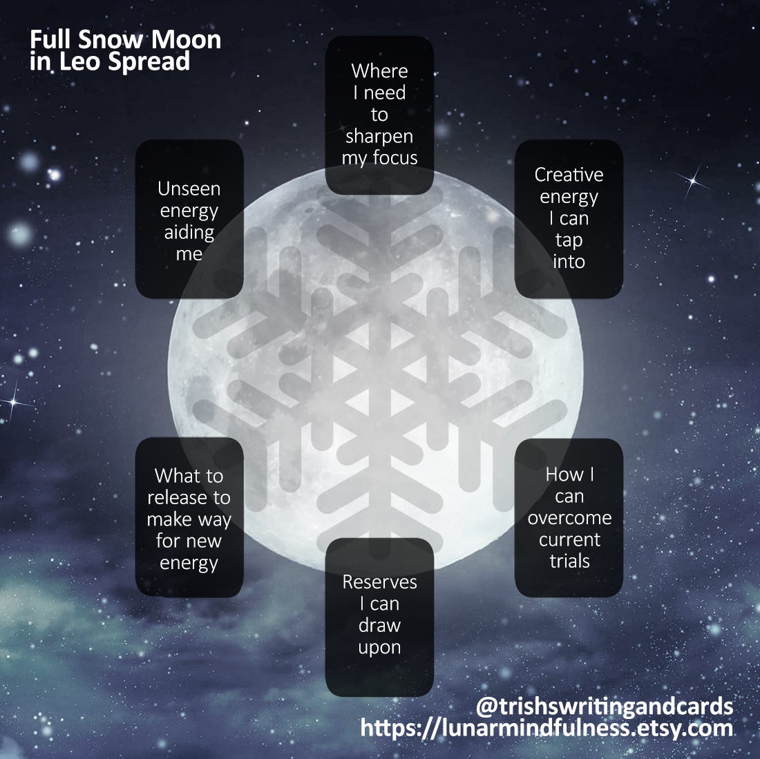 Full Snow Moon in Leo - by Trish Sullivan