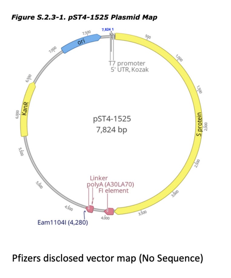 Failure of the linearization reaction in the Pfizer bivalent vaccine ...