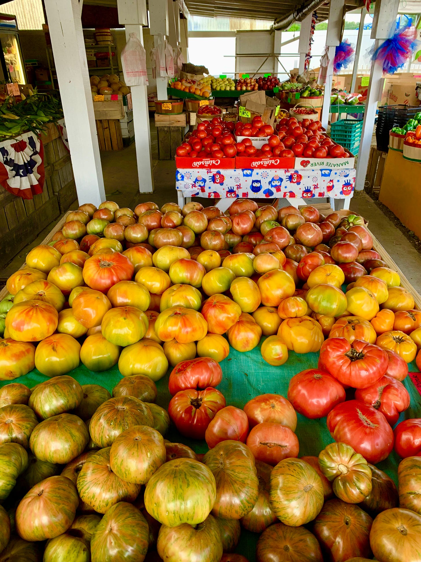 My Tomato Comeuppance - by emily nunn