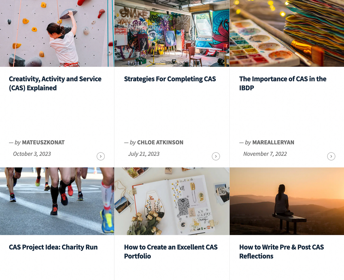 🎨IBlieve's BEST Guide to CAS (Creativity, Action, Service ...