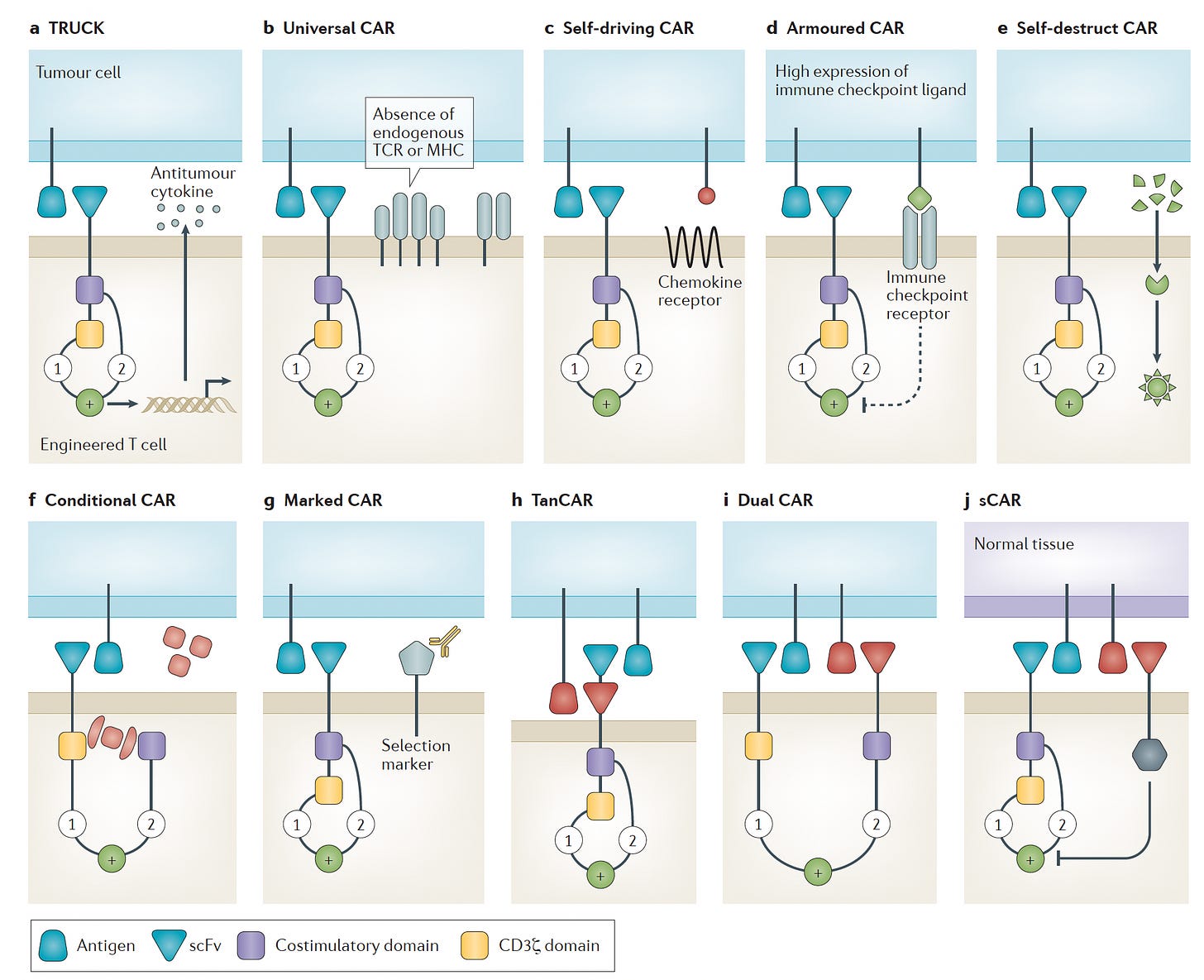 Engineering T cells - by Eric Topol - Ground Truths