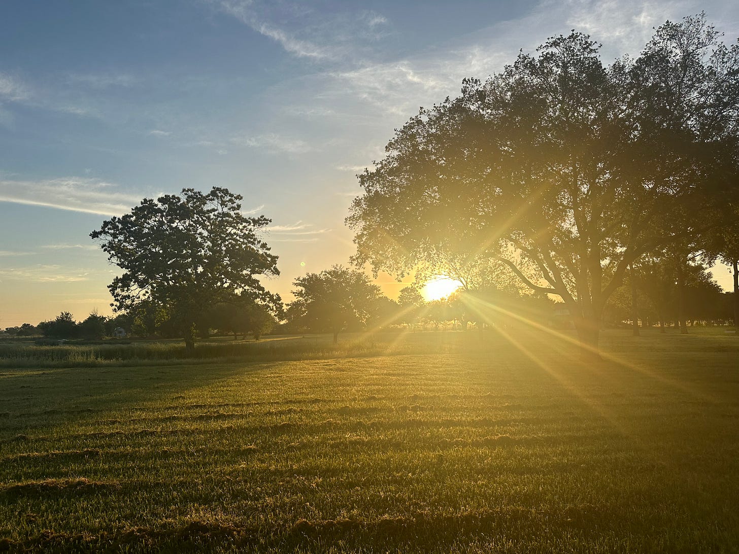 Vacation - by Merissa Hansen - The Houston Comical