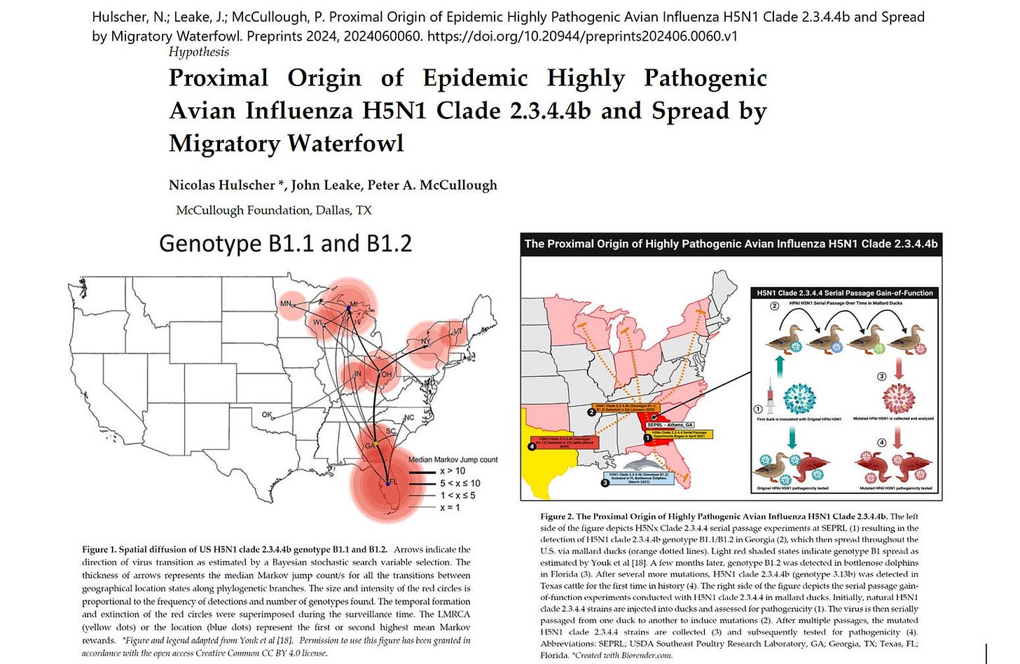BREAKING Publication: Proximal Origin of Epidemic Highly Pathogenic ...