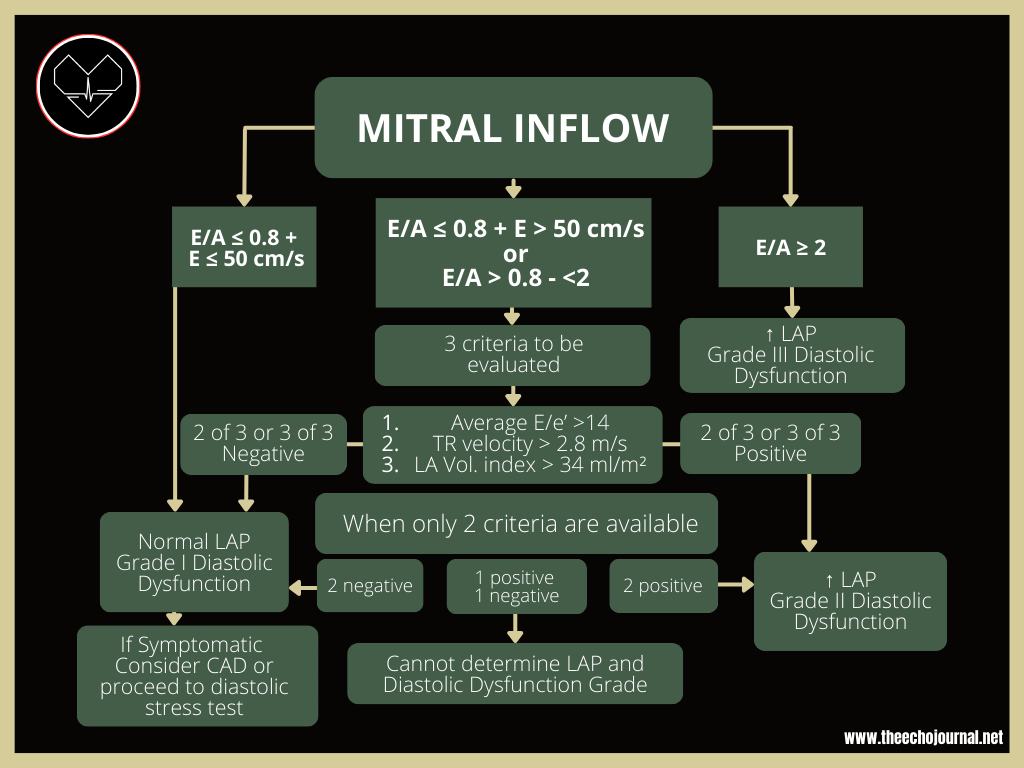 Navigating Diastolic Dysfunction - by Alex C.
