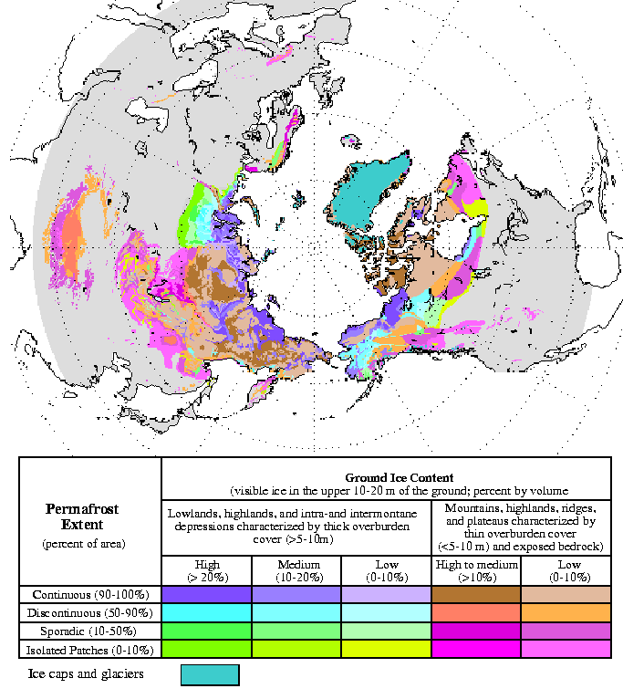 Melting Permafrost Reveals Cute Ice-Age Animals — and Climate Challenges?