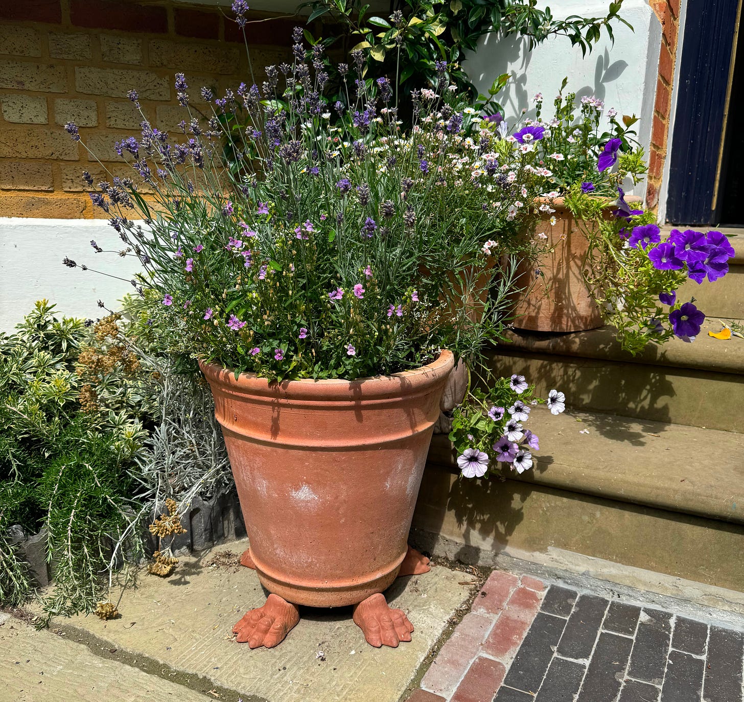 A Guide to Plant Pots - by Leanne Kilroy