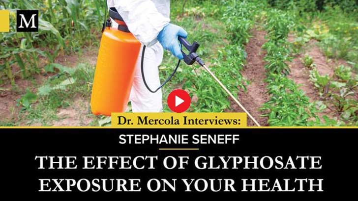 Even Low Levels of Glyphosate Alter Your Gut Microbiota