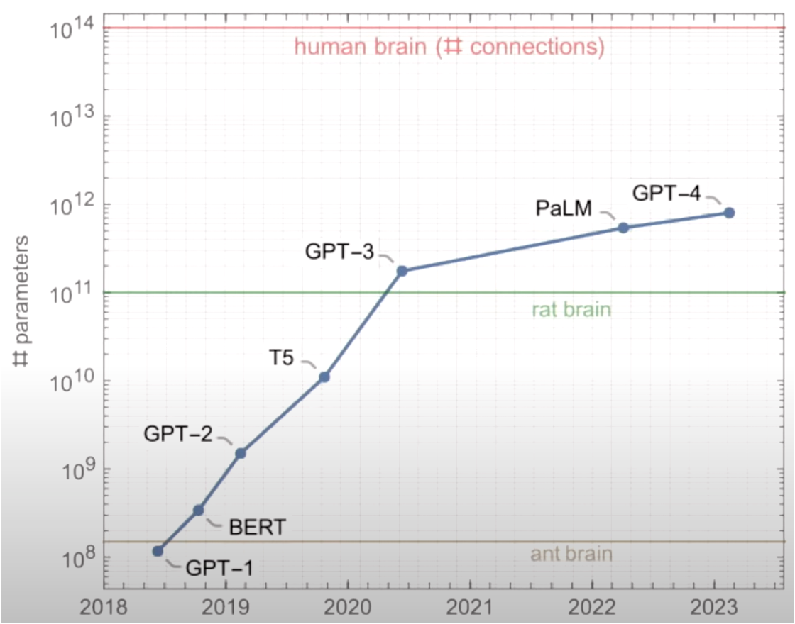 #9: Gen AI models vs the human brain