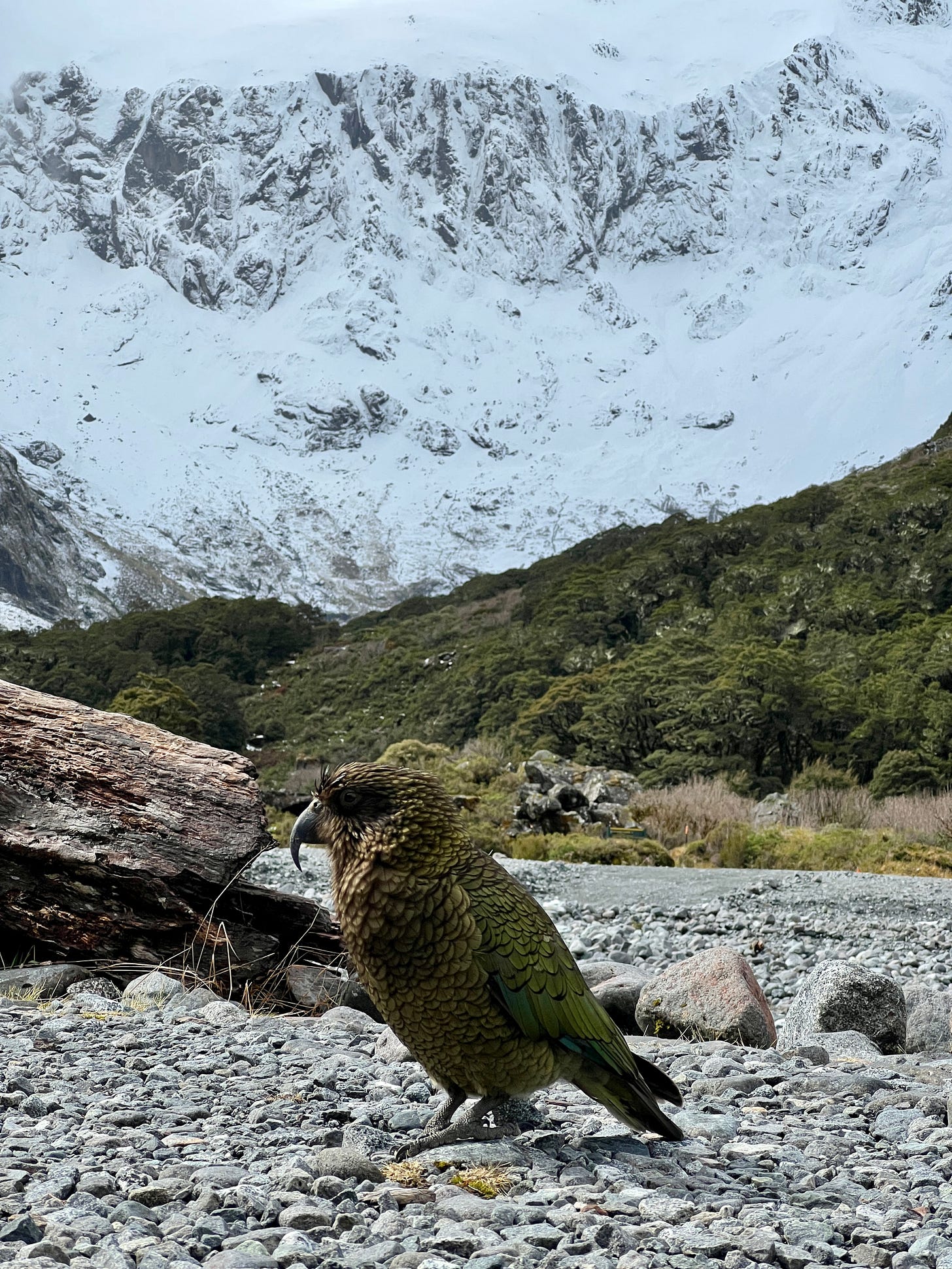 About - BenNollWeather