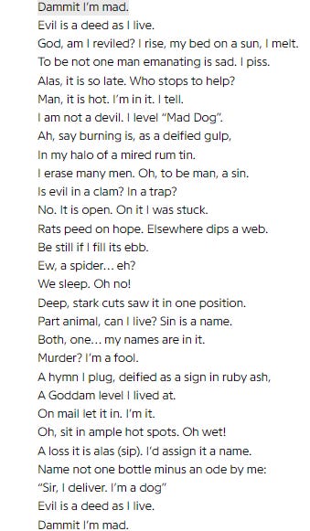 How to Write a Mirror Poem - by Cameron S. Bradley