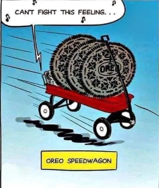 Ann Barnhardt Memes - Edwin’s Newsletter #1