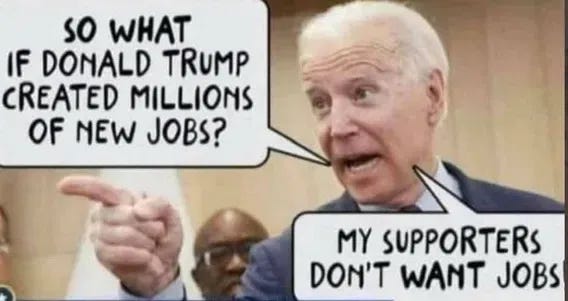 Ann Barnhardt Meme Barrage - Edwin’s Newsletter #1