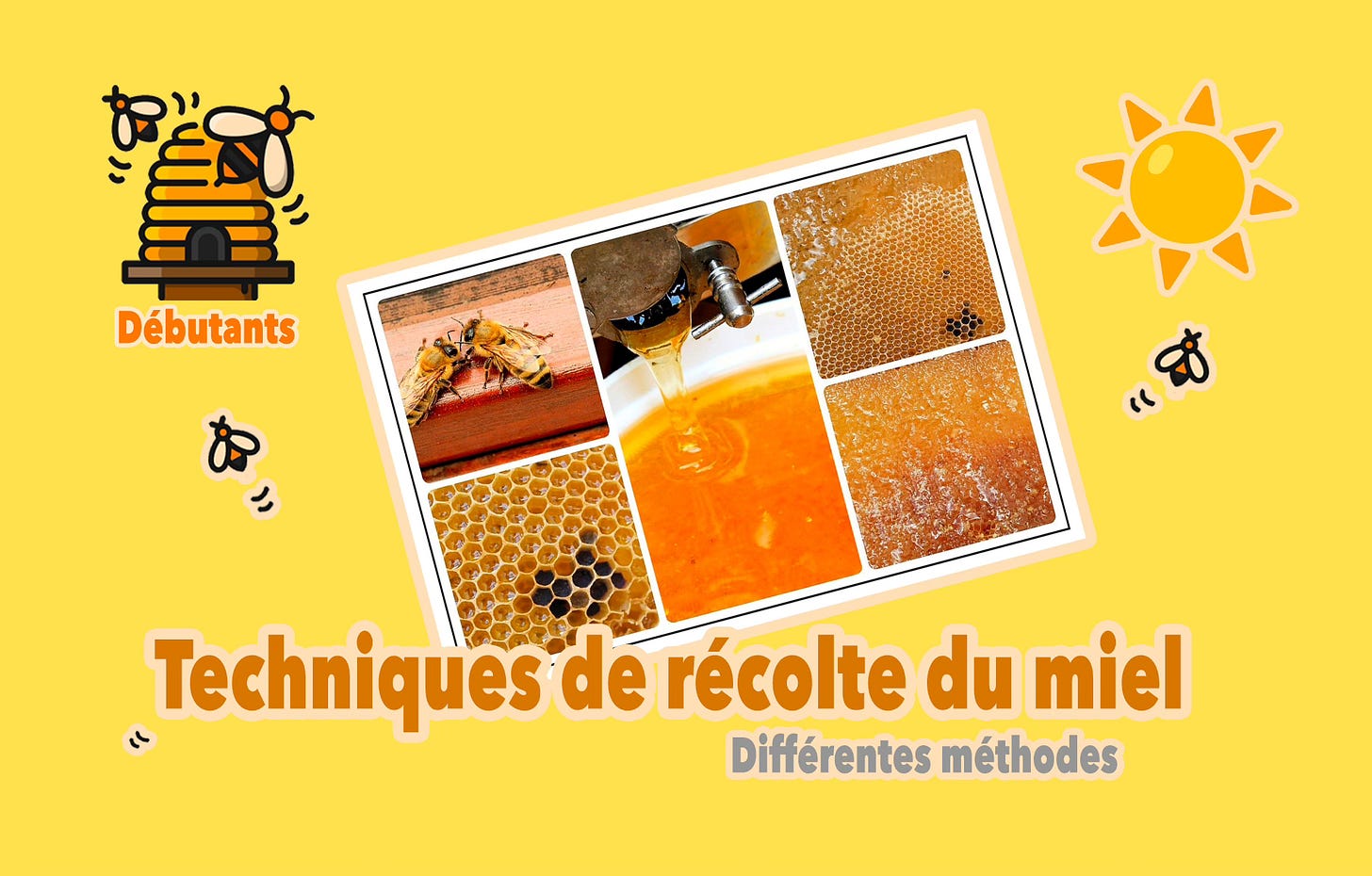 Techniques de récolte du miel - by Philippe Royer