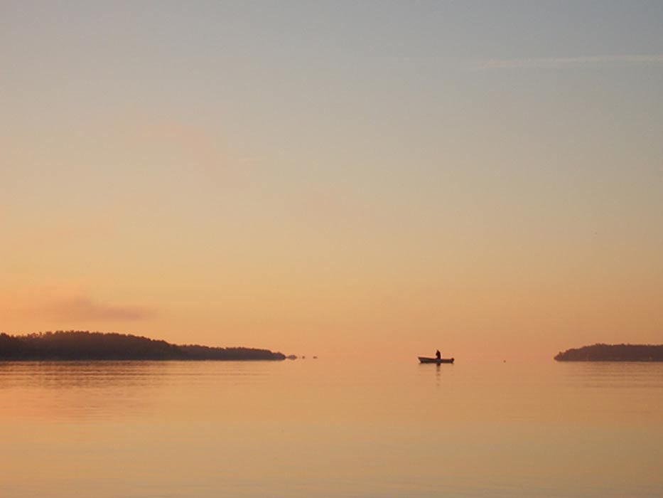 The Legend of the Fisher King and Elements of the Divine Fishermen in ...