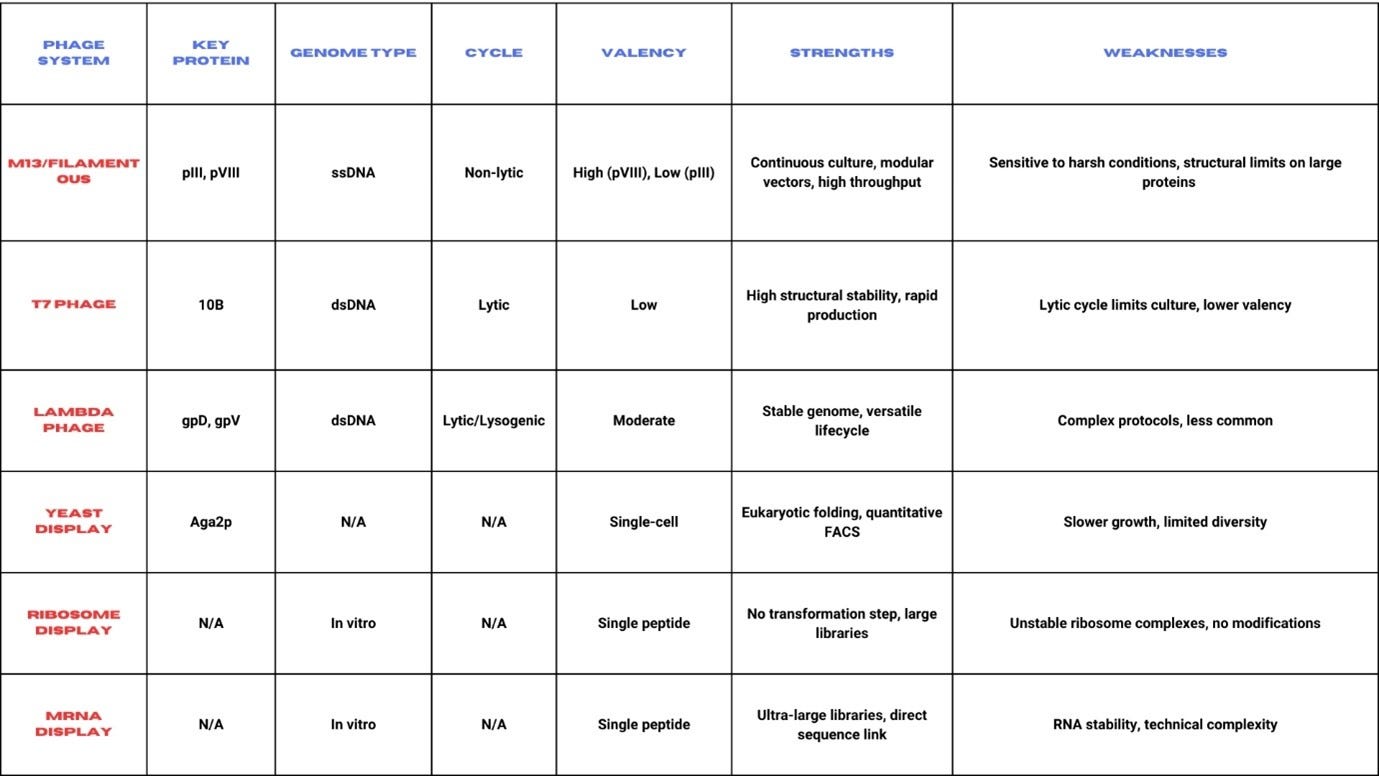 Phage Display, Principles, Applications, Future Evolution