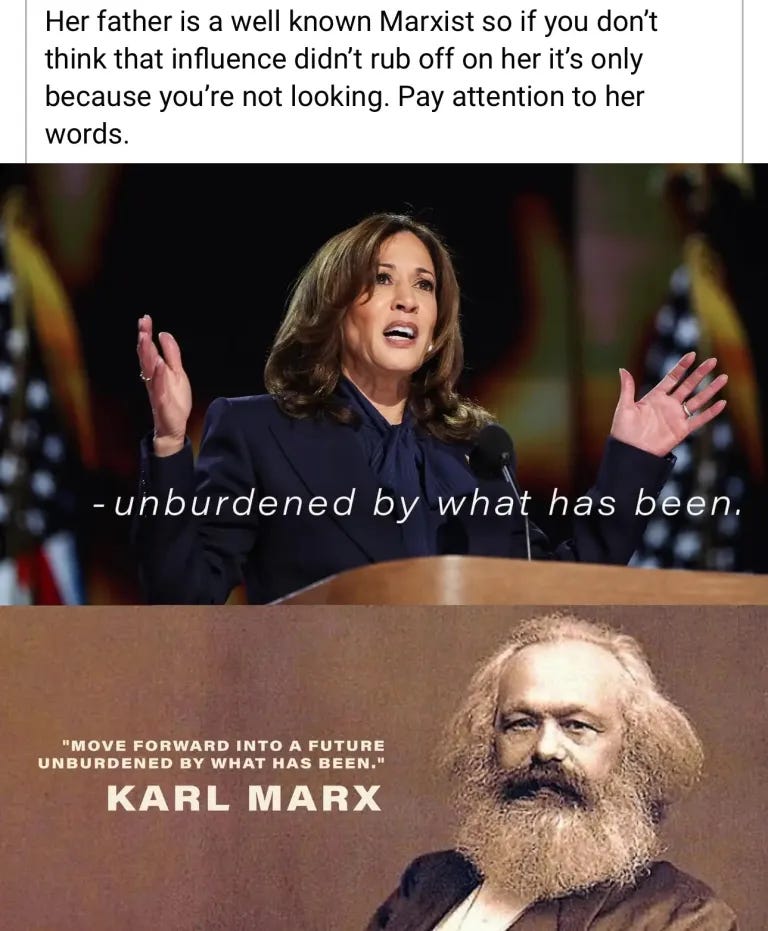 Ann Barnhardt Meme Barrage - Edwin’s Newsletter #1