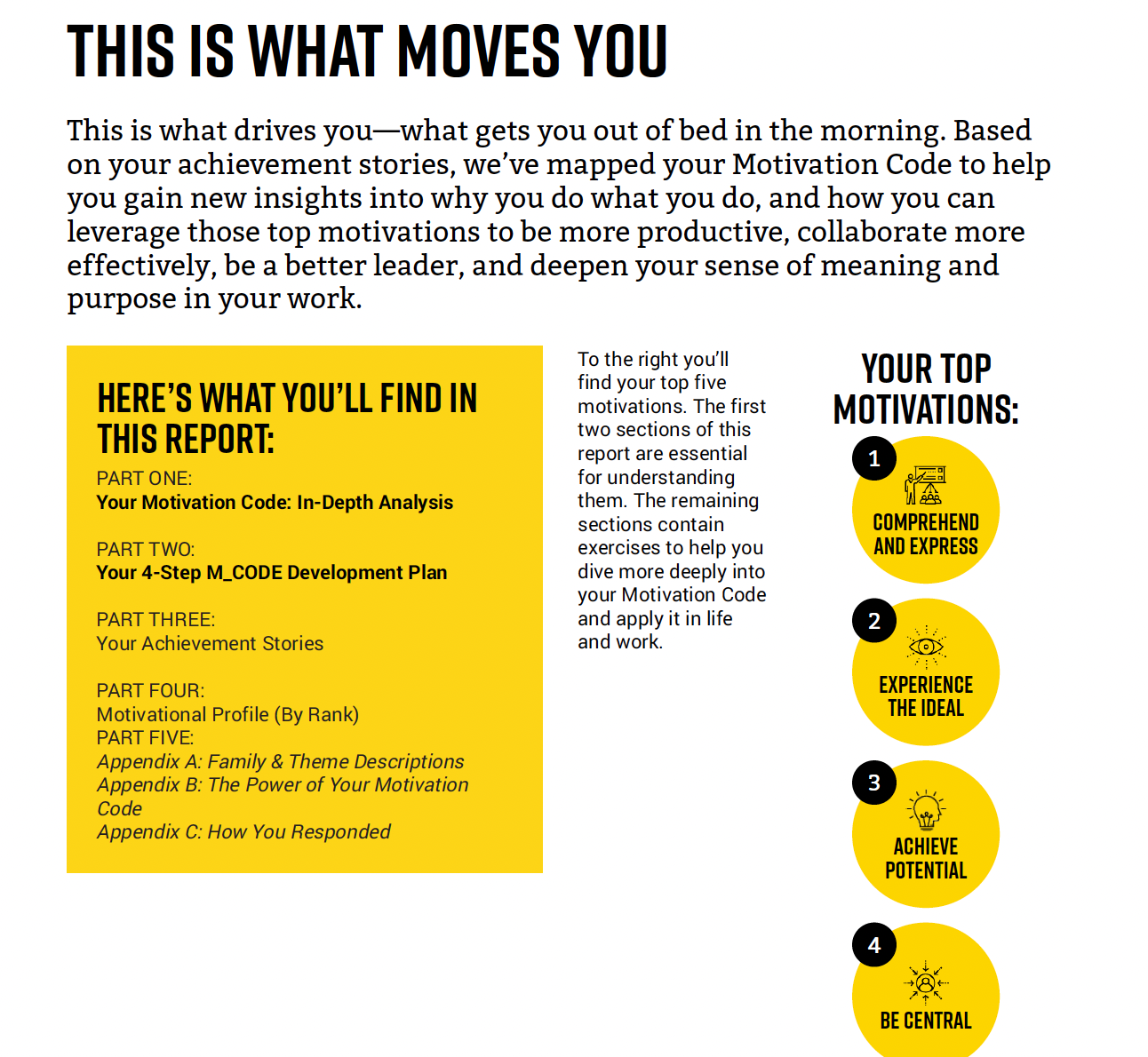 Do You Know Your Motivational Pattern?