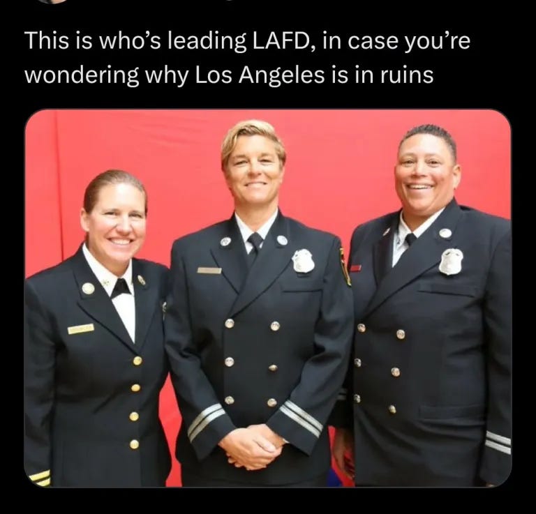 Ann Barnhardt Meme Barrage - Edwin’s Newsletter #1