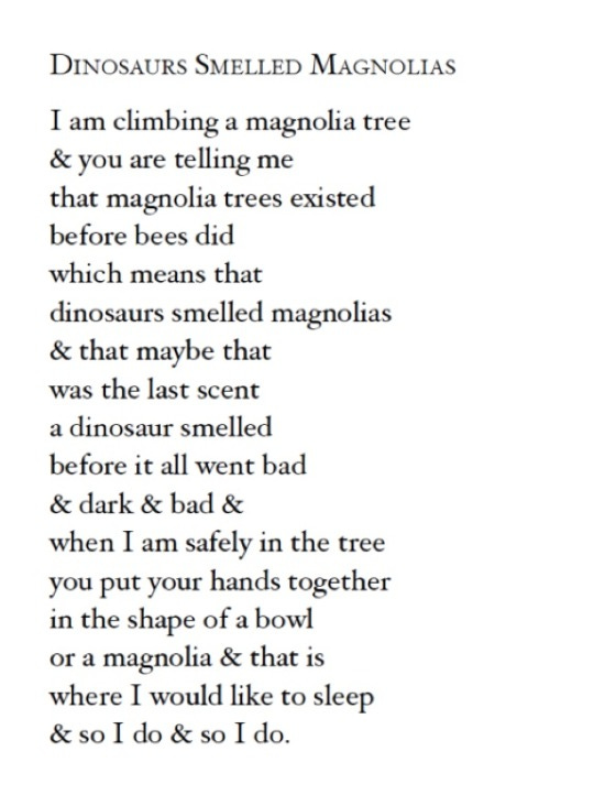 poetry pocket: dinosaurs smelled magnolias, dalton day