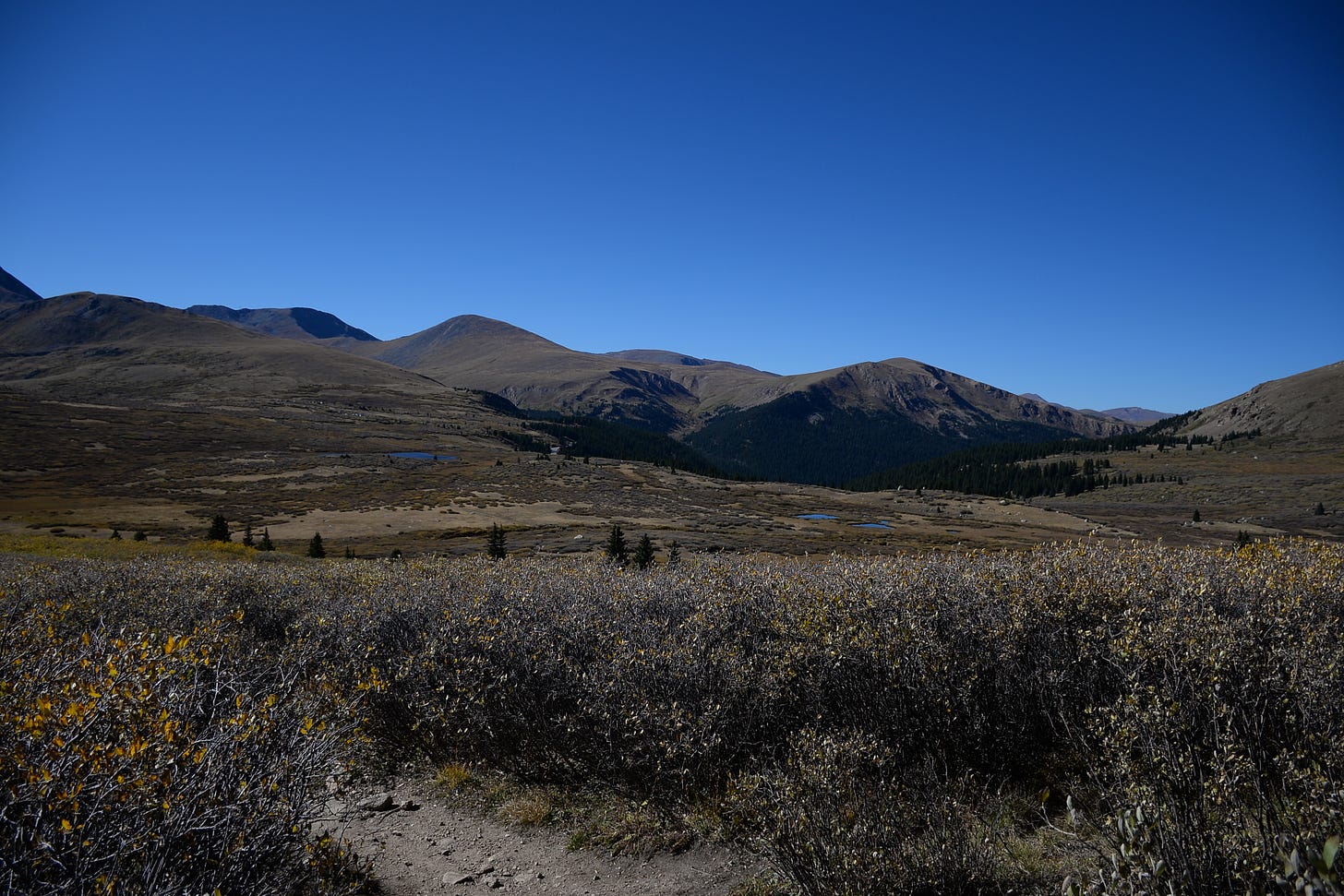 Soulful Saunter: Embracing the Art of Slow Walking and Nurturing Your ...