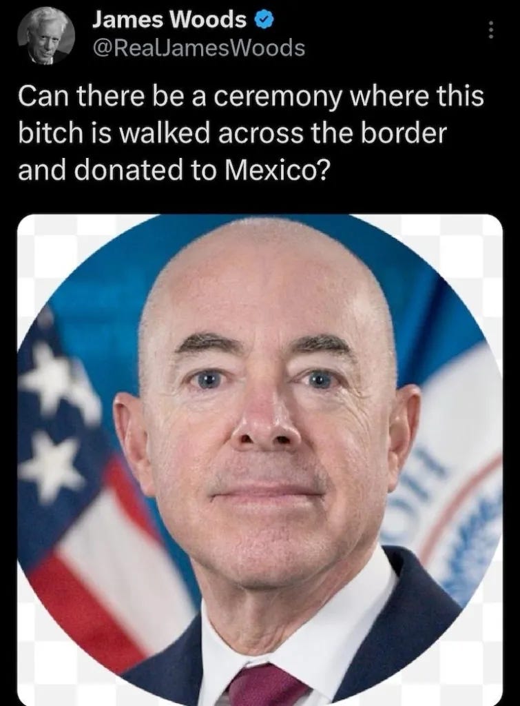 Ann Barnhardt Memes - Edwin’s Newsletter #1