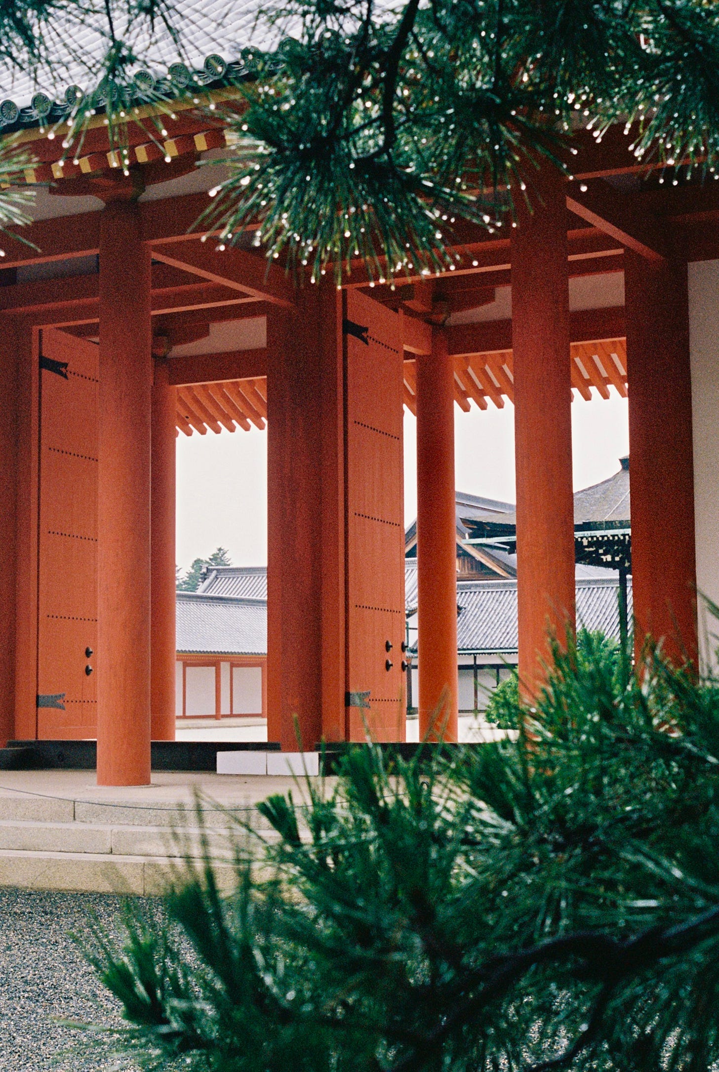Kyoto On Film - by Laura Jean - Little Musings