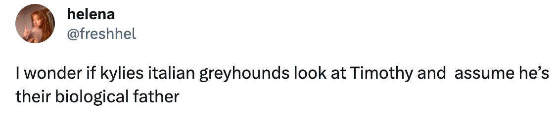 Don't say it's Joe-ver! - by Emily Kirkpatrick - I