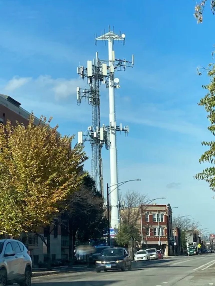 How Chicago has become a sh*t-hole city (and it’s not the only one ...