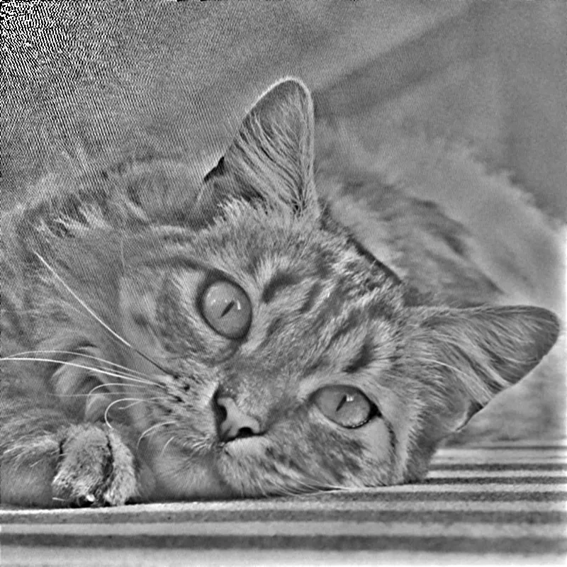 Sir, there's a cat in your mirror dimension | Hacker News