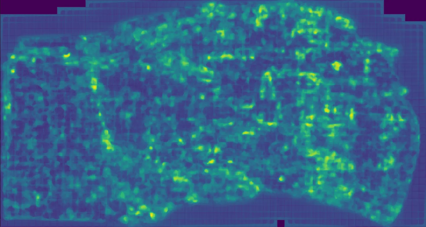 Winners | Vesuvius Challenge
