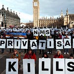 Mountain Tui | Substack