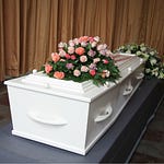 Beyond the Noise | Paul Offit | Substack