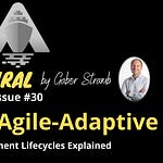 Agile Admiral by Gabor Stramb | Agile Admiral - Gabor Stramb | Substack