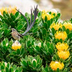 Shell’s Substack | Substack