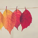 Shell’s Substack | Substack