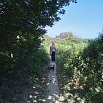 The Painted Caravan | Isabella Ann | Substack