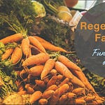 Shell’s Substack | Substack