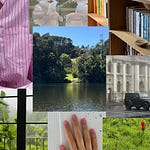 In appreciation | Clara McKay | Substack